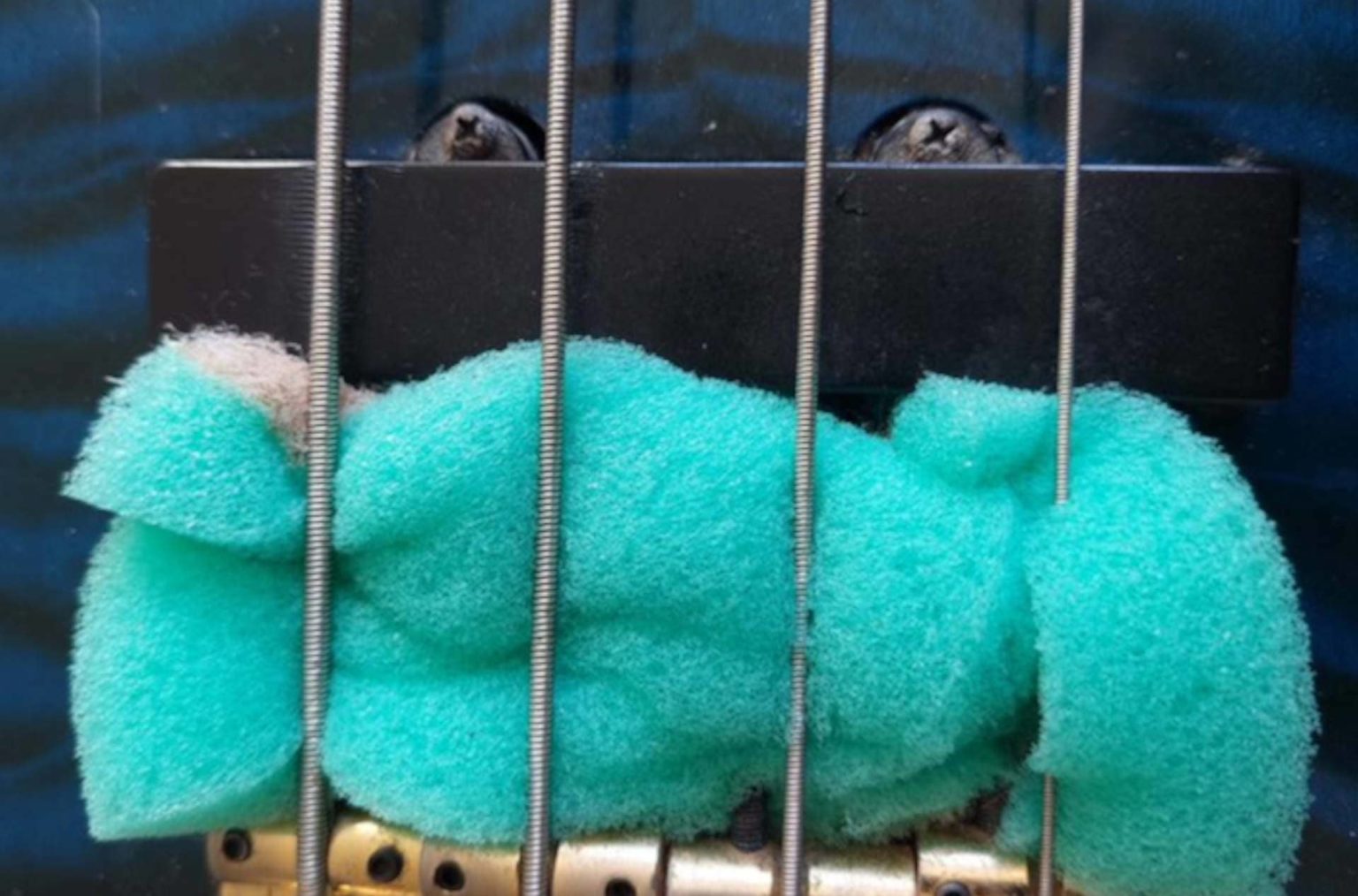 Guide To Bass Damping (Technique, Fret Wraps, Foam, Cloth) - BassOx