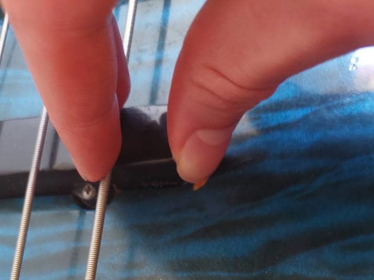 The Floating Thumb Bass Technique (with photos and exercises) - BassOx