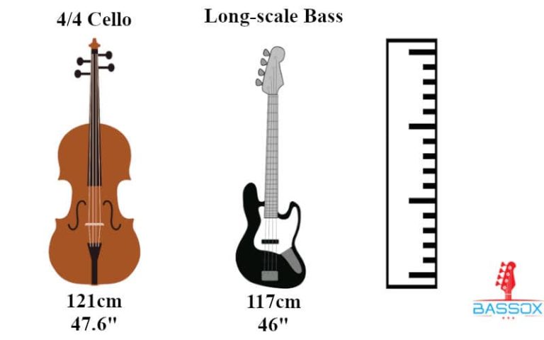 Bass Guitar Vs Cello Every Difference Explained Bassox