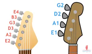 Bass VS Guitar (Every Difference Explained + Infograph) - BassOx