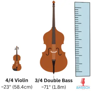 Double Bass VS Violin (Every Difference Explained) - BassOx