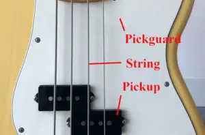 Parts Of A Bass Guitar (With Pictures & Infographic) - BassOx