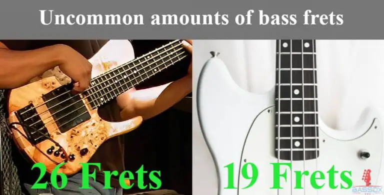 How Many Frets Does A Bass Guitar Have Illustrated BassOx how-many-frets-does-a-bass-guitar-have-illustrated-bassox