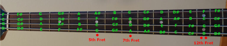 Bass Guitar Notes Chart (With Helpful Fretboard Photos) - BassOx