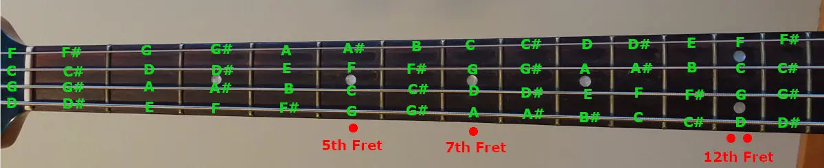 Bass Guitar Notes Chart (With Helpful Fretboard Photos) - BassOx