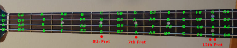 Bass Guitar Notes Chart (With Helpful Fretboard Photos) - BassOx