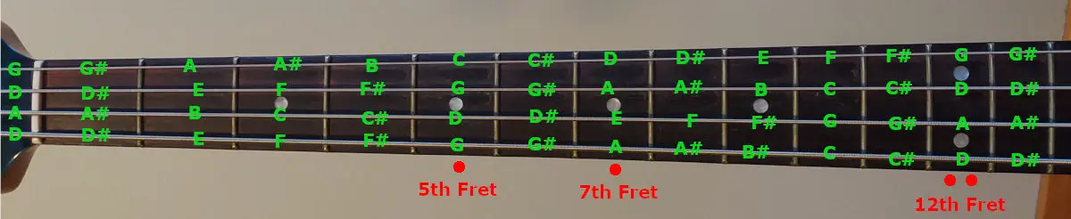 Bass Guitar Notes Chart (With Helpful Fretboard Photos) - BassOx