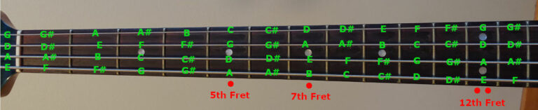 Bass Guitar Notes Chart (With Helpful Fretboard Photos) - BassOx