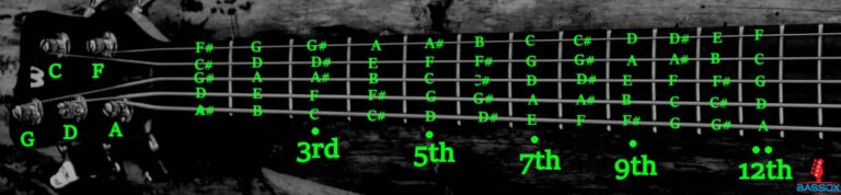 5-String Bass Notes Chart (With Fretboard Photos) - BassOx