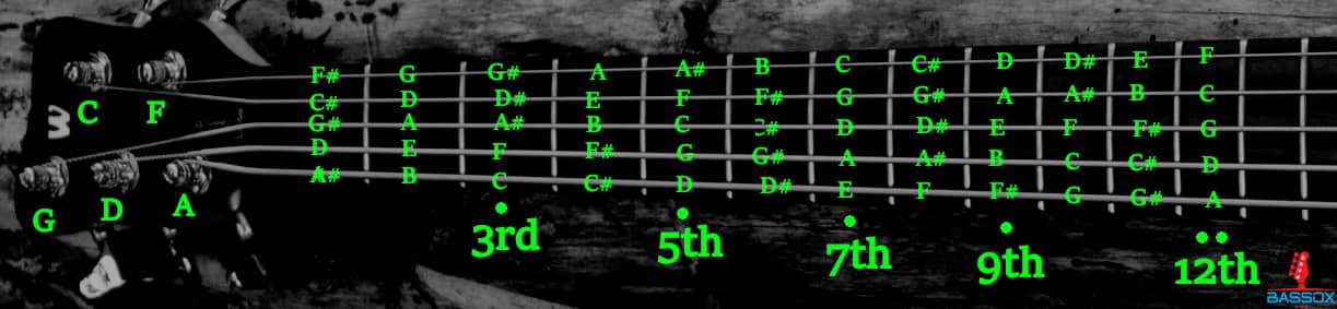 5-String Bass Notes Chart (With Fretboard Photos) - BassOx
