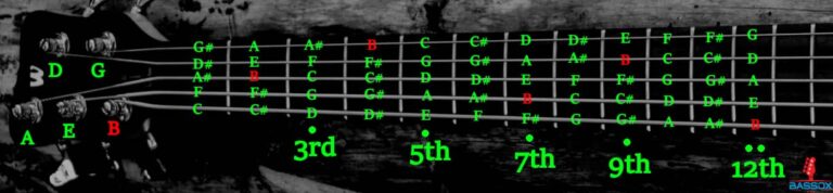 5-String Bass Notes Chart (With Fretboard Photos) - BassOx