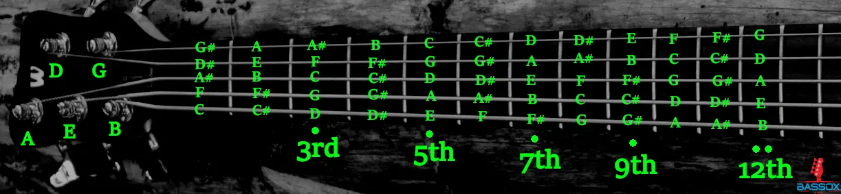 5-String Bass Notes Chart (With Fretboard Photos) - BassOx