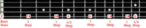 Major Scales On The Bass (With Infographic & Audio) - BassOx