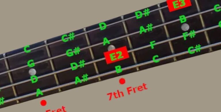 5 Key Notes On The Bass Fretboard (Illustrated Guide) - BassOx