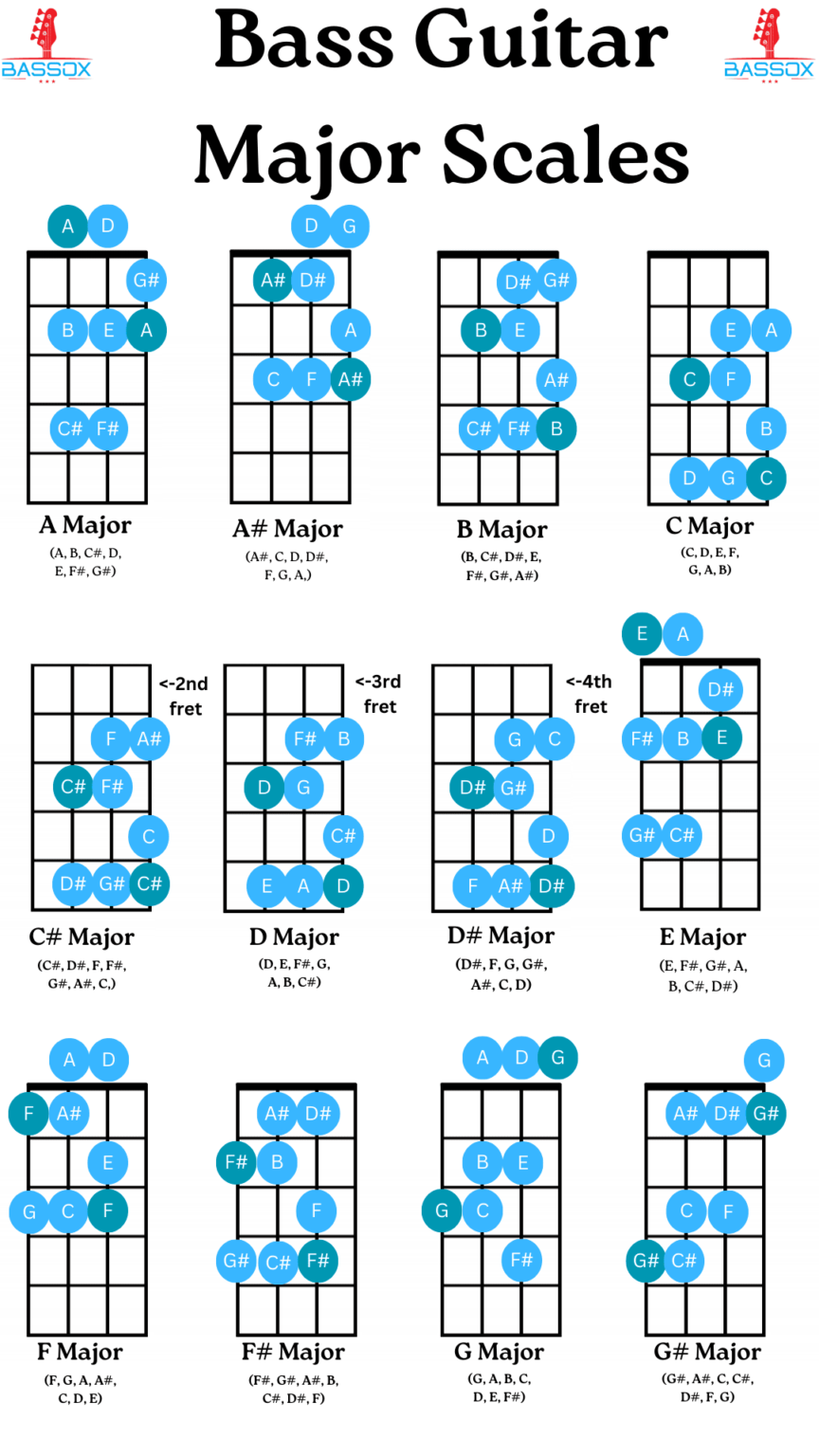 Major Scales On The Bass (With Infographic & Audio) - BassOx