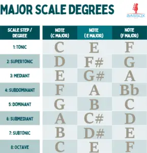 Major Scales On The Bass (With Infographic & Audio) - BassOx